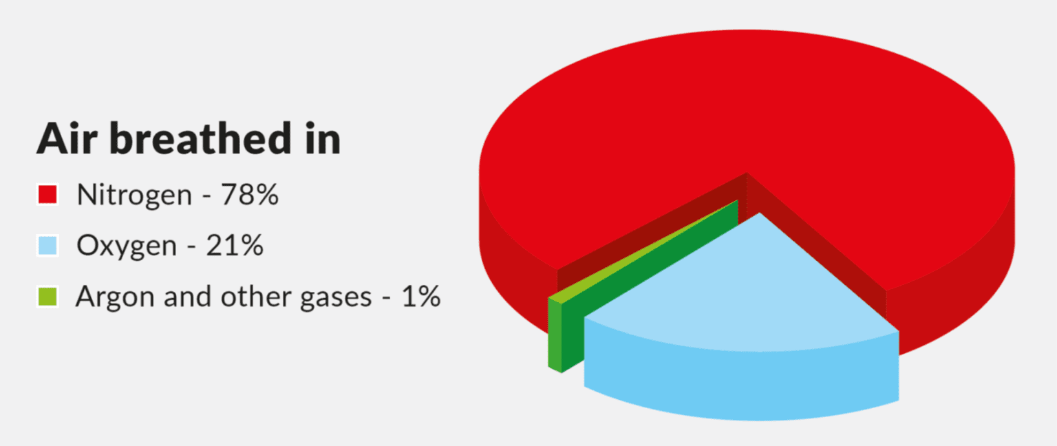 Composition of Air – E-Learning